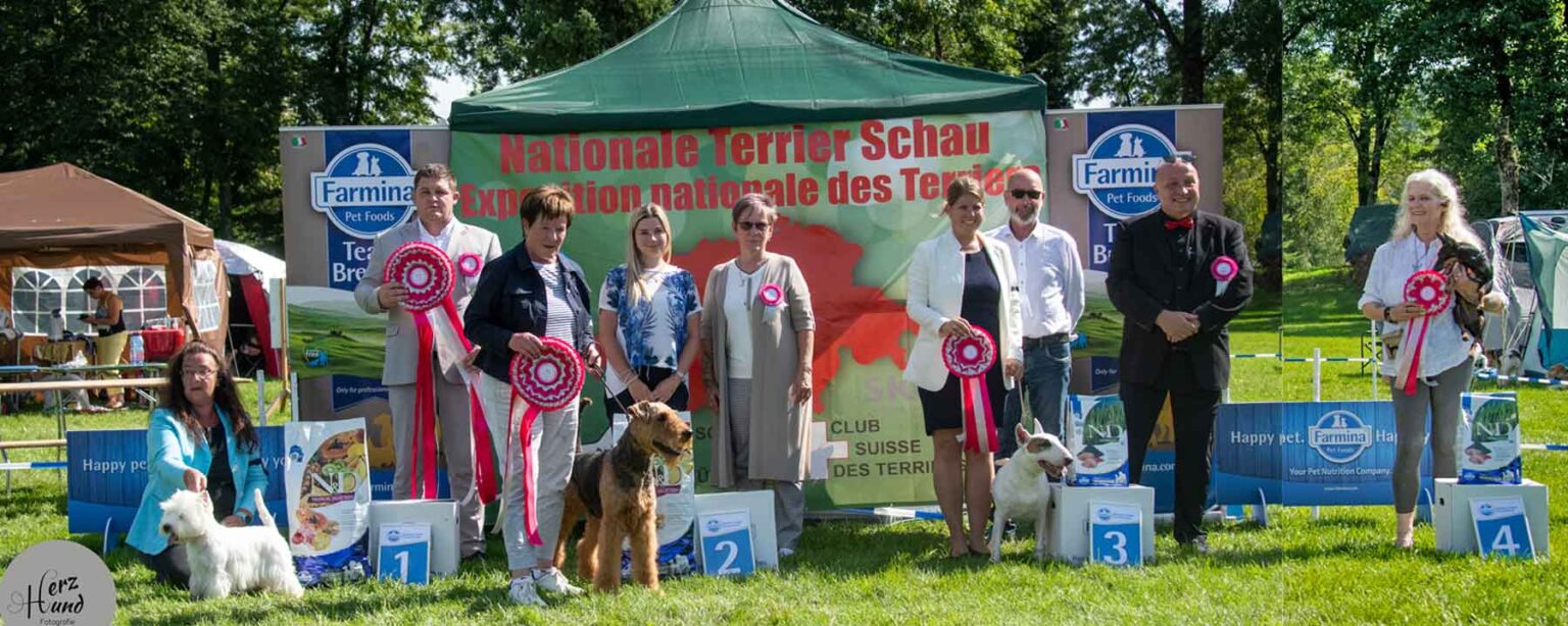 News – Terrierclub